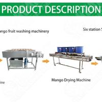 China Industrial Fruit and Vegetable Sorting Washing Cutting Sterilizing Conveying Drying Processing Line for sale