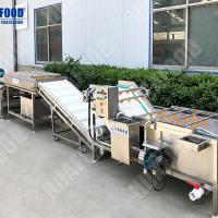 China Hot sale fruit and vegetable washing equipment machine line for sale
