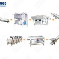 China Cheapest Price Moringa Leaf Ginger Garlic Apple Washer Fruit Vegetable Oyster Clean And Wash Machine Line for sale