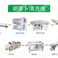 China Cheapest Price Moringa Leaf Ginger Garlic Apple Washer Fruit Vegetable Oyster Clean And Wash Machine Line for sale