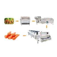 China Green Vegetables Citrus Kelp Grape Washing Machine Leek Mushroom Herb Leaf Cleaning Machine for sale