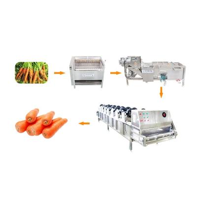 China Green Vegetables Citrus Kelp Grape Washing Machine Leek Mushroom Herb Leaf Cleaning Machine for sale