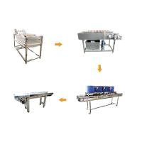 China Green Vegetables Citrus Kelp Grape Washing Machine Leek Mushroom Herb Leaf Cleaning Machine for sale