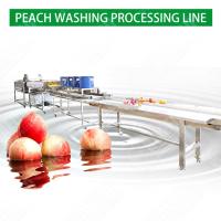 China CE Approved fruit and vegetable washing cleaning/waxing/drying/sorting machine line for sale