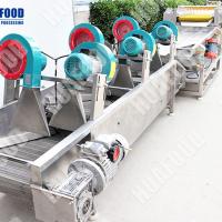 China Factory Price Air Bubble High Efficiency Frozen Fruits Washing Tank Washing Vegetable Production Line for sale