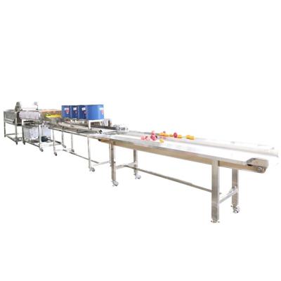 China High capacity Industrial vegetables washing machine vegetable washing machine price for sale