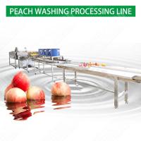 China shredded cabbage cutting and washing machine vegetable washing line for sale