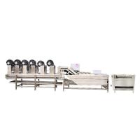 China Carrot Coconut Washing Peeling Machine Cassava Washing Peeling Machine Fruit And Vegetable Washing Line for sale