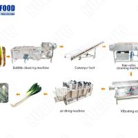China GT commercial washers ultrasonic price device bubble root ozone vegetable and fruit washing washer cleaner machine line for sale