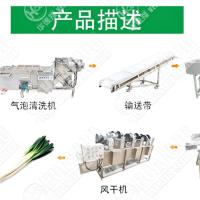China GT commercial washers ultrasonic price device bubble root ozone vegetable and fruit washing washer cleaner machine line for sale