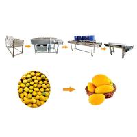 China Commercial Small Fruit Bubble Washing Machine Tomatoes Pepper Bubble Washer Multifunctional Provided Vegetable and Fruit Washer for sale