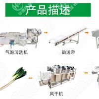 China Newly design factory supply fruit vegetable washing machine line industrial bubble cleaning machine wash vegetables for sale