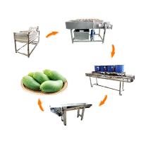 China Newly design factory supply fruit vegetable washing machine line industrial bubble cleaning machine wash vegetables for sale