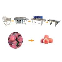 China Vegetable Washing Line Potato Peeling Brushing Equipment Washing Machine Price for sale