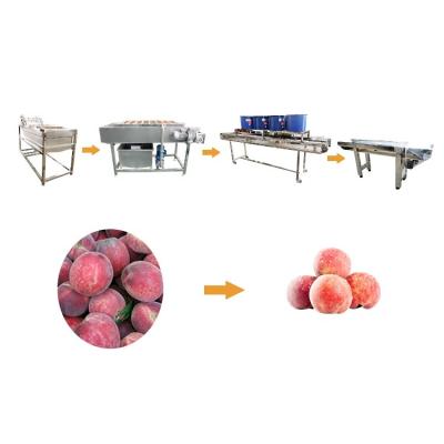 China Vegetable Washing Line Potato Peeling Brushing Equipment Washing Machine Price for sale