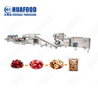 China Industrial High Pressure Spray Dragon Fruit and Vegetable Washing Equipment Leaf Vegetable Washing Line for sale