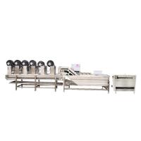 China salad leaf vegetables production ozone fruit and vegetable washer fruits processing line for sale