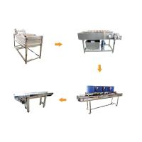 China High capacity production line of carrot sweet potatoes walnut brush washing machine for sale