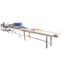 China High capacity production line of carrot sweet potatoes walnut brush washing machine for sale