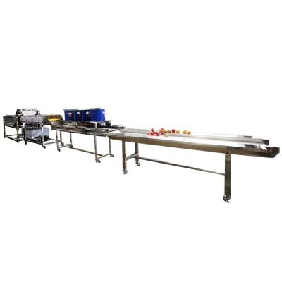 China Industrial Water Cycle Tunnel Vegetable And Fruit Washing Machine for sale