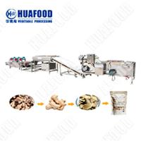 China Commercial Industrial Bubble Fruit Mango Vegetable Potato Washing Machine/Frozen Vegetable Production Line for sale