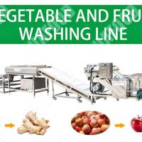 China Commercial Industrial Bubble Fruit Mango Vegetable Potato Washing Machine/Frozen Vegetable Production Line for sale