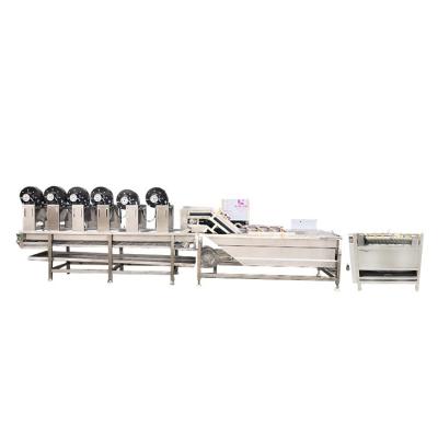 China Automatic Leafy Vegetable And Fruit Air Bubble Clean Washer Production Line Vegetable Wash Machine Industry for sale