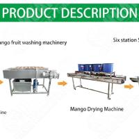 China orange/lemon fruit washing waxing drying sorting machinery/production line for sale