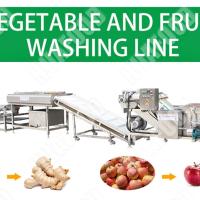 China Vegetable Brush Washer Potato Ginger Vegetable Rinse Wash Line Machine Potato-wash-and-peel-machine for sale