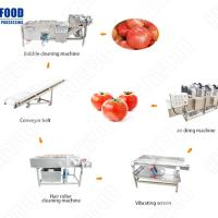 China Vegetable Brush Washer Potato Ginger Vegetable Rinse Wash Line Machine Potato-wash-and-peel-machine for sale