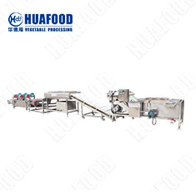 China Damatic Industrial nylon brush carrot yam taro radish cassava beet sweet potato ginger washing peeling cleaning machine price for sale