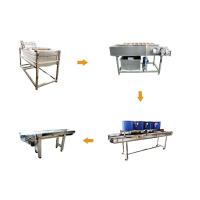 China 2023 hot sale Factory Price Vegetable Cherries Cleaning Line Cherry Tomatoes Washing Machine for sale