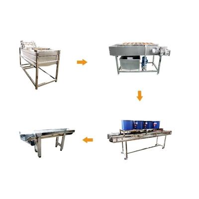 China 2023 hot sale Factory Price Vegetable Cherries Cleaning Line Cherry Tomatoes Washing Machine for sale