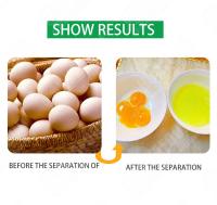 China Factory Price Duck Chicken Egg White Separator Machine And Yolk Breaking Separating Machine for sale
