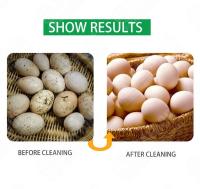 China Farm hen egg cleaner equipment duck egg washing machine egg cleaning machine for sale