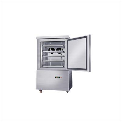 China Hot Selling 1000Kg Hour Blast Freezer Small Shock Freezer Made In China for sale