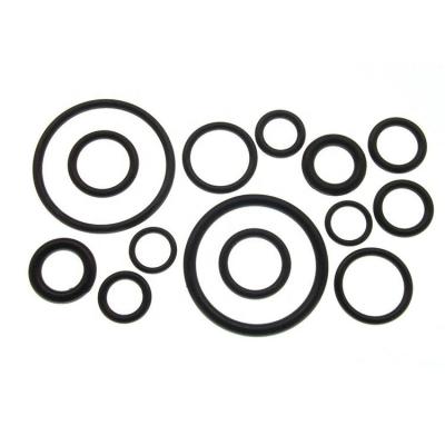 China Heat Insulation ROHS Neoprene O Ring Kit Odorless Corona Resistant for sale
