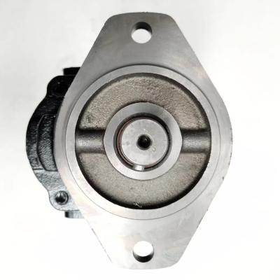 China Parker 7029530002 Hydraulic Gear Pump Cast Iron High Pressure 1 Year Warranty for sale