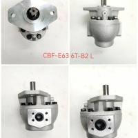 China 14T Full Hydraulic Gear Pump with 1060lpm Flow Rate and 100BAR Operating Pressure for Heavy Machines for sale
