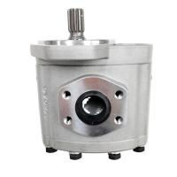 China High Performance Hydraulic Gear Pump with 11KW Power 1060lpm Flow Rate and 160kPa-250kPa Pressure for sale