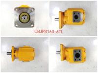 China Hydraulic Gear Pump with 100BAR Operating Pressure 1/4inch Connection Size and 1 Stage for Heavy Machinery for sale