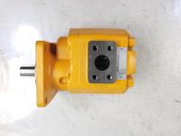 China Hydraulic Gear Pump with 100BAR Operating Pressure 1/4inch Connection Size and 1 Stage for Heavy Machinery for sale