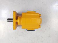 China Hydraulic Gear Pump with 100BAR Operating Pressure 1/4inch Connection Size and 1 Stage for Heavy Machinery for sale