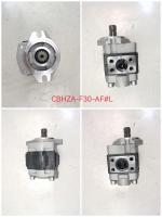 China Hydraulic Vane Pump CBHZA-F30-AFΦL with 1-Year Warranty and Custom OEM Parts for Construction Machinery for for Komatsu Kawasaki for sale