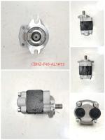 China CBHZ-F40-AL1Φ13 Iron and Aluminum alloy materialsl Hydraulic Gear Pump with 13 Tooth 11KW Power and 160KG-250KG Pressure for Industrial Applications for sale
