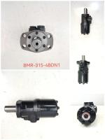 China Hydraulic Gear Motor BMR-315-4BDN1 Many Curves role Radial Pistion hydraulic Motor Operating Pressure for Heavy Machinery for sale