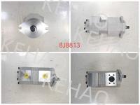China Gear Pump 8J8813（1） High Quality Steering and Power device oil pump Hydraulic Spare Parts Used in Komatsu Machinery for sale