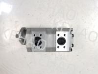 China Hydraulic Gear Pump 385-10079283 Iron and Aluminum alloy materials  Range for Construction Machinery Factory Supply Hydraulic Parts for sale