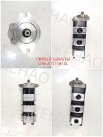China High Quality Hydraulic Gear Pump CBKSL2-G25+G16+G16-A1T11Φ13L Stainless Steel OEM customizable gear pump  1 Year Warranty for sale