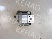 China D41 Series Hydraulic Gear Pump including D41-45CC(R) D41-6E+40-28CCR D41-400C(R) with 1060lpm Flow AISI Stainless Steel and 1 Year Warranty for sale
